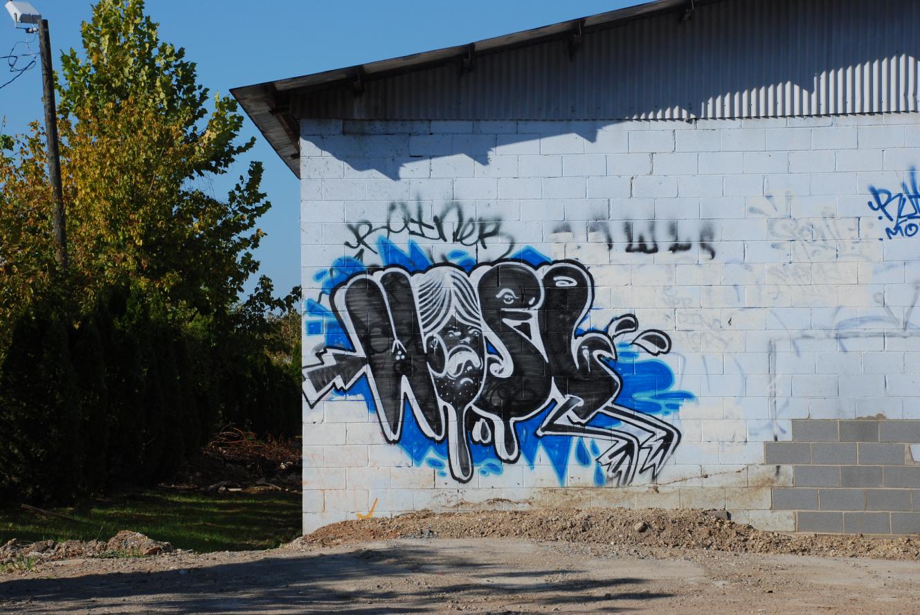 North Carolina | Page 5 | Bombing Science: Graffiti Forums