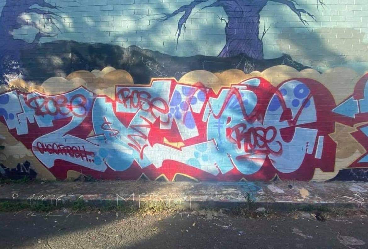 Beef Flix | Page 56 | Bombing Science: Graffiti Forums